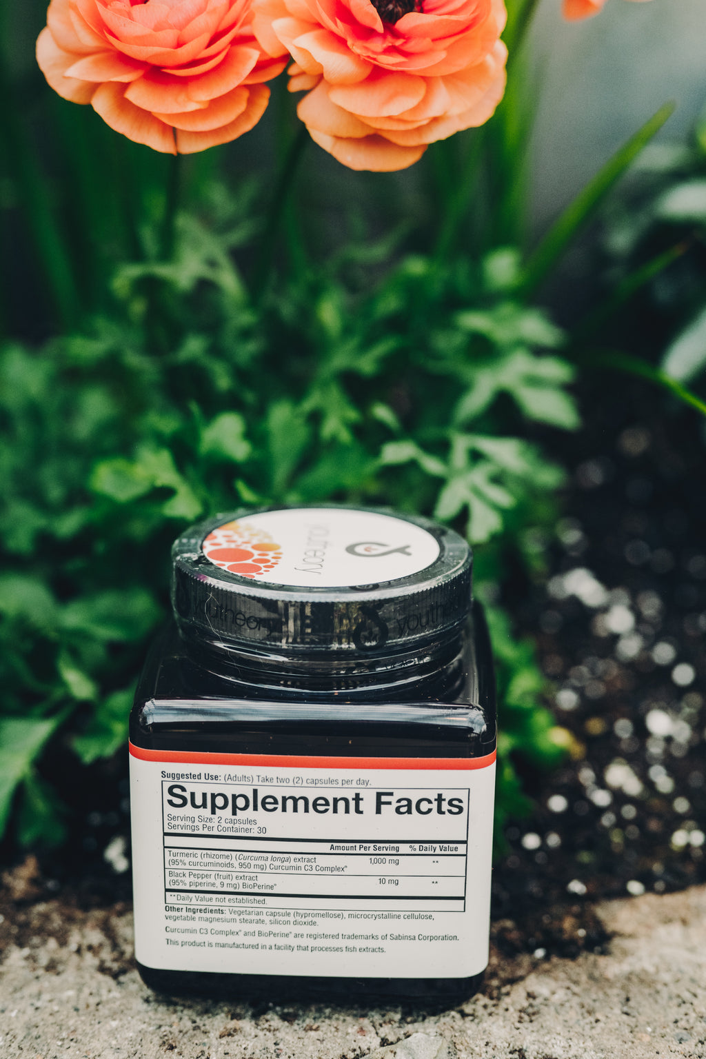 Turmeric Extra Strength 1,000 mg – BarbaraOneill.com