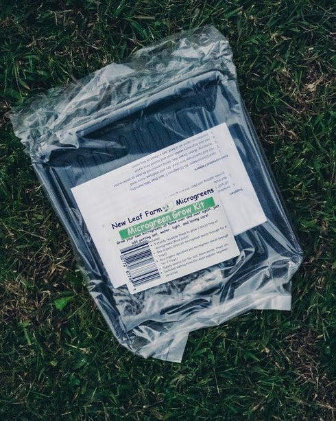 Microgreen Grow Kits – BarbaraOneill.com